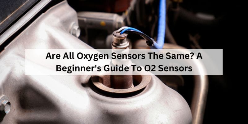 Are All Oxygen Sensors The Same? A Beginner's Guide To O2 Sensors